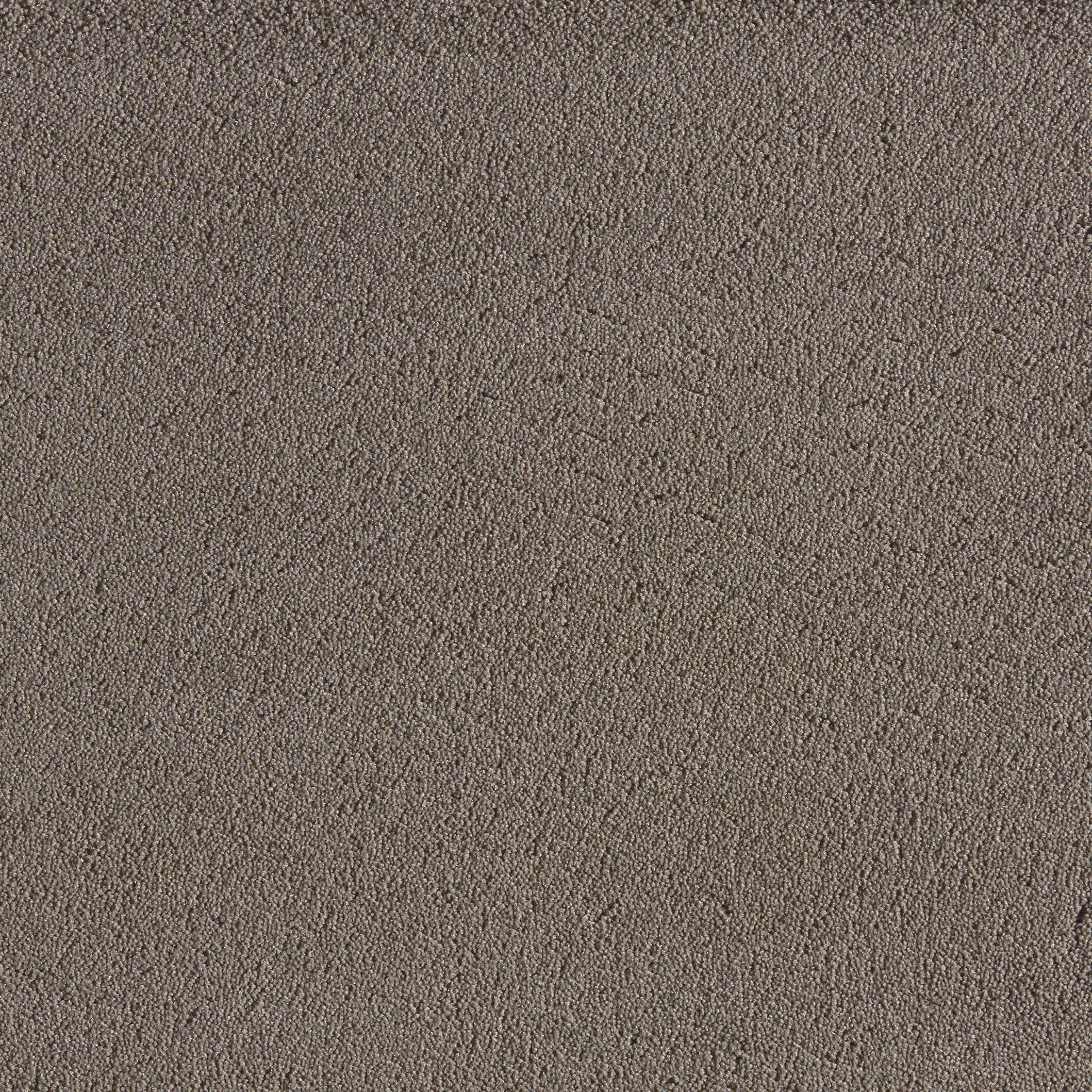 Texture taupe