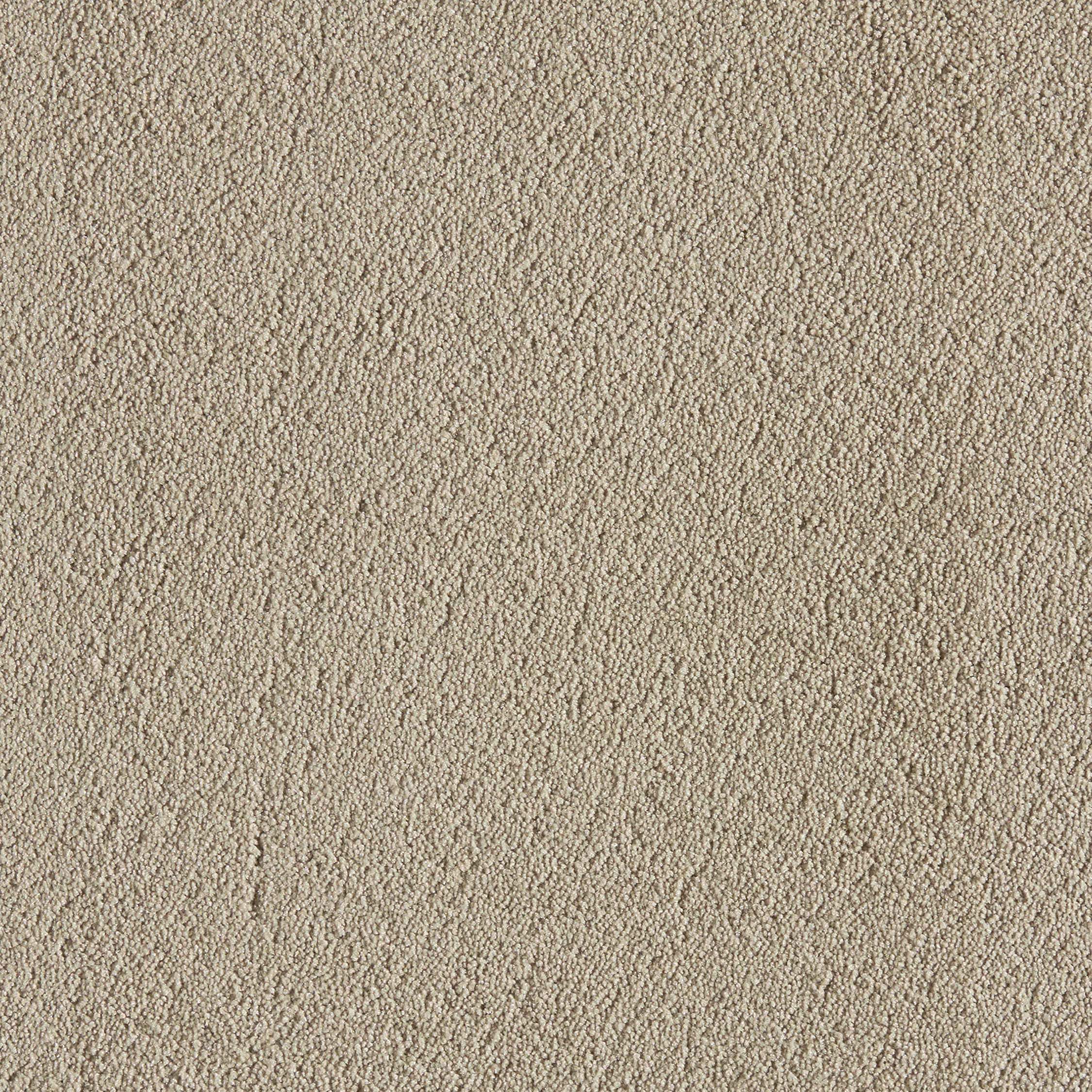 Texture 2000 camel